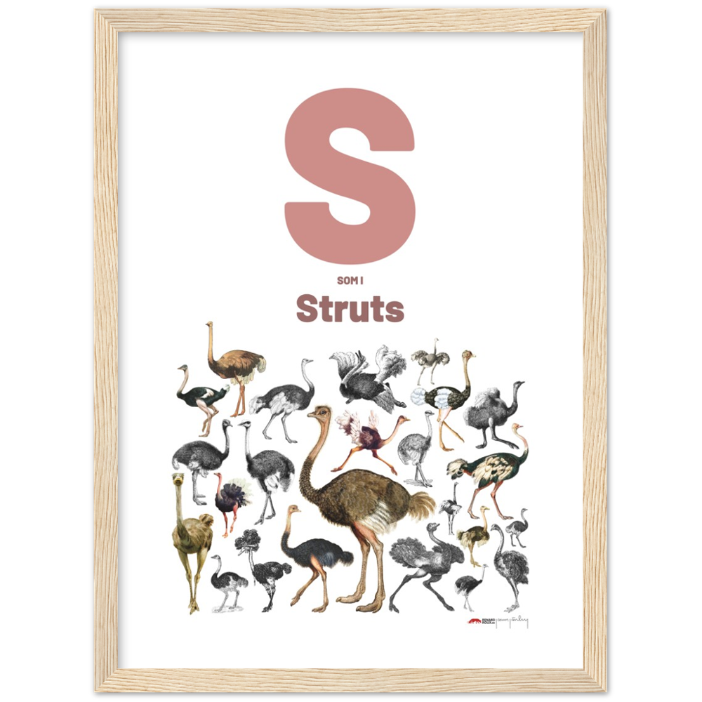 S som i Struts - a Swedish letter poster – rouxposter.com